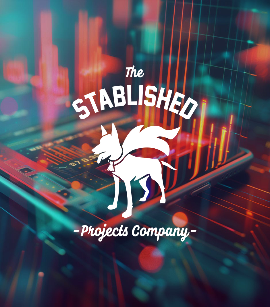 Stablished Projects | Video & Animation Studio